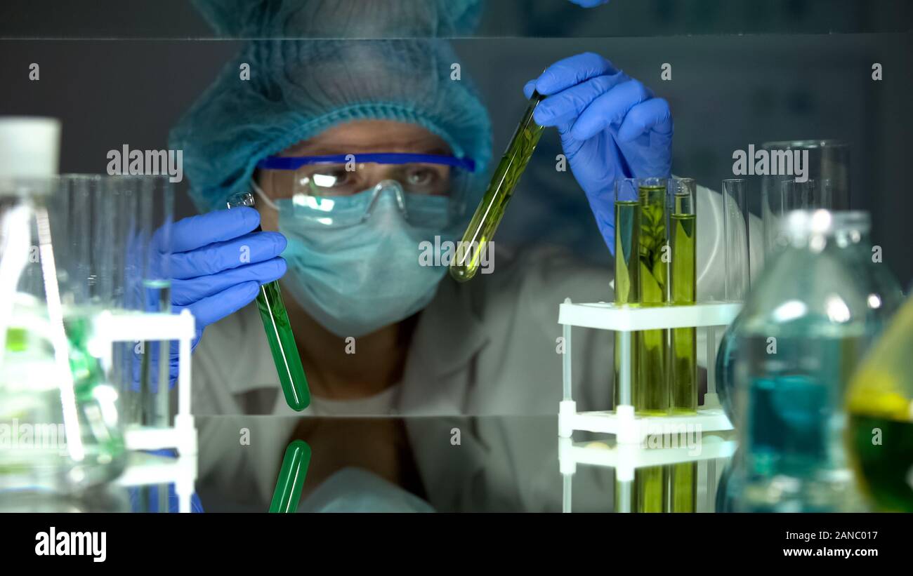 Scientist comparing plant samples in different liquids, preservative ...