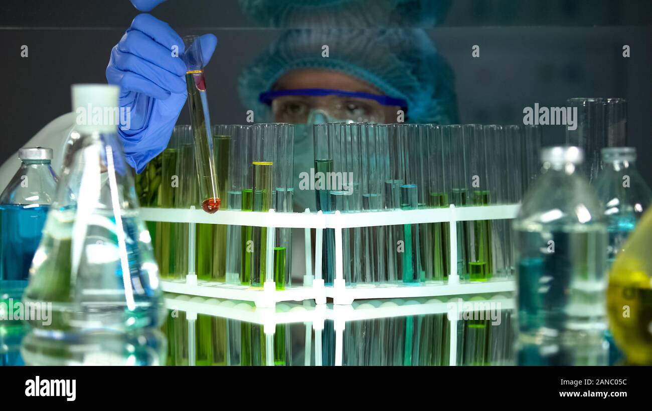 Lab assistant checking experiment reaction, chemical development ...