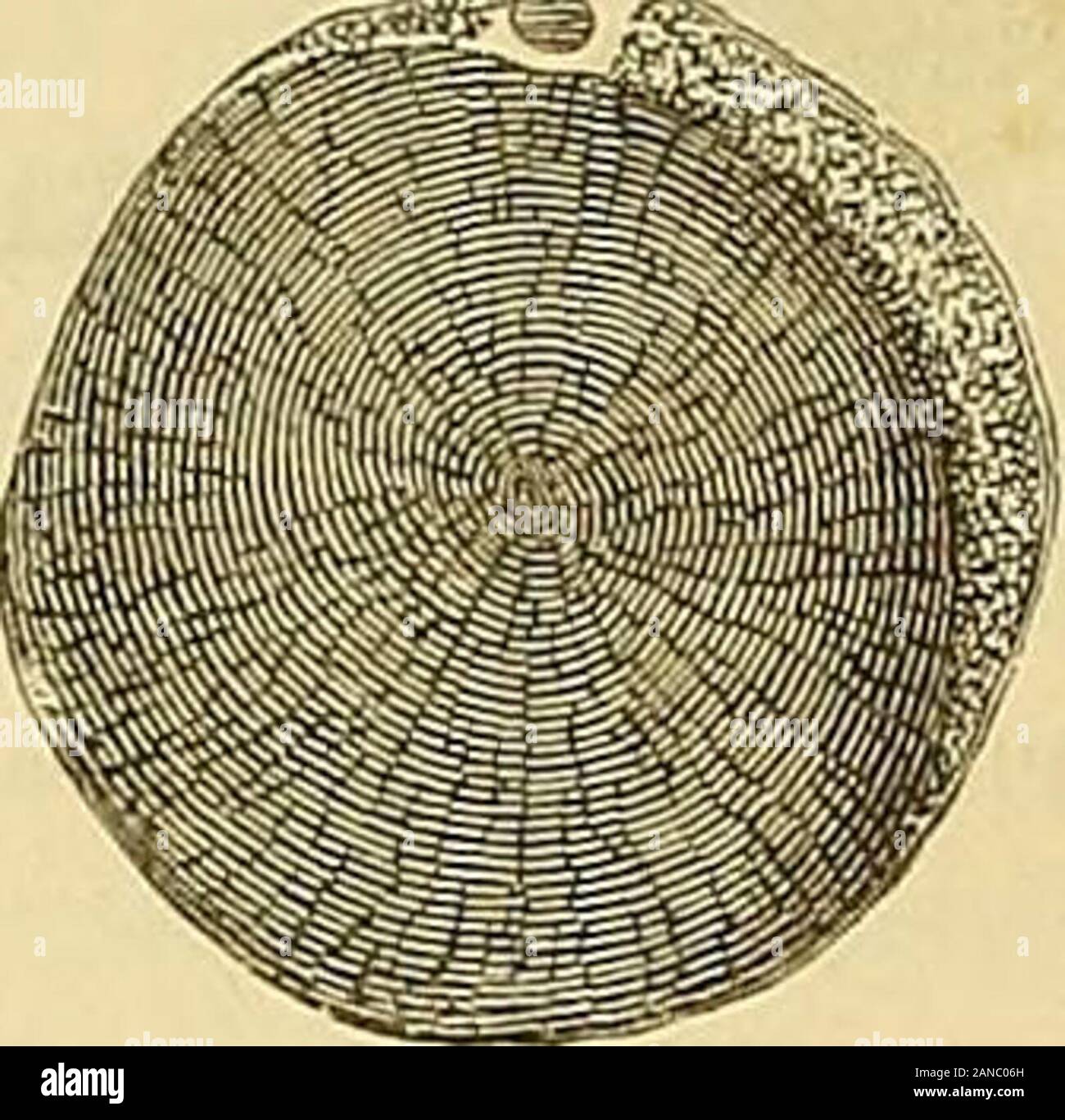 Formes de terre hi-res stock photography and images - Alamy