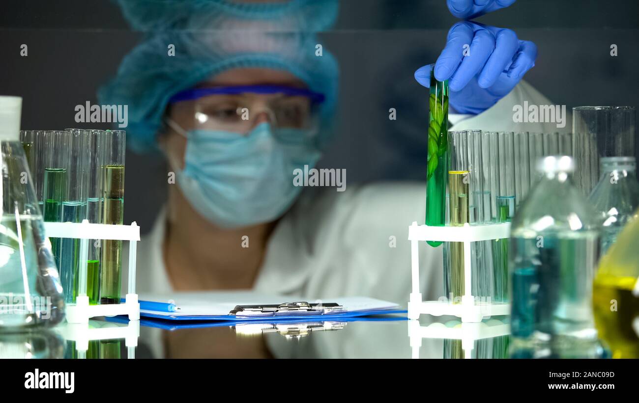 Biologist with tablet PC taking green plant sample in test tube, growth ...