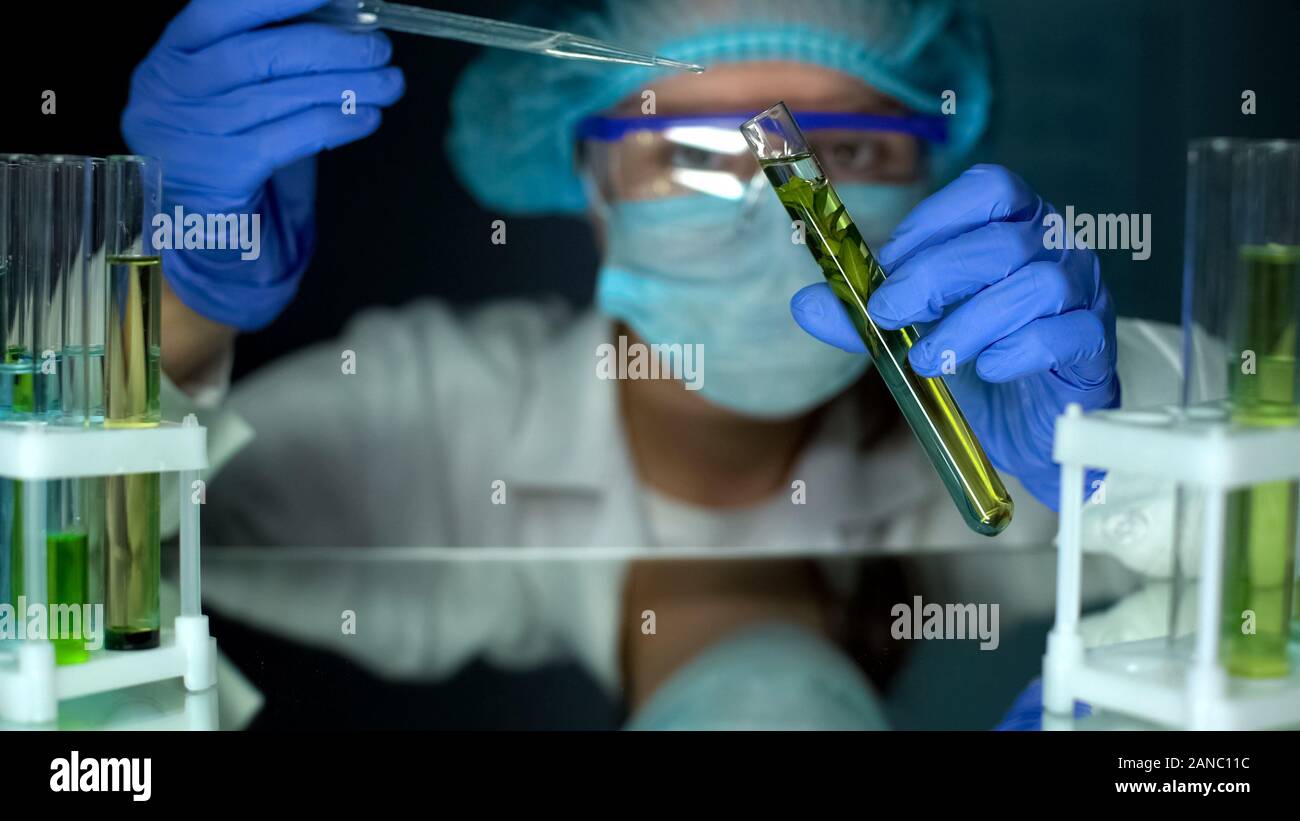 Ecologist adding liquid to plant sample in tube, observing reaction ...
