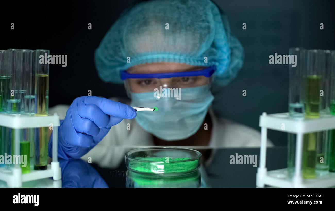 Scientist analyzing green absorbent powder in petri dish, fertilizer ...