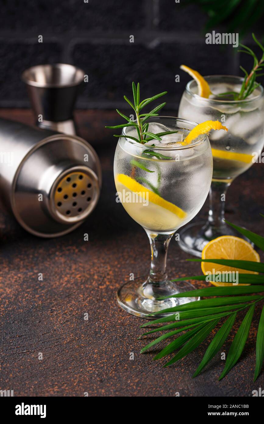 Gin tonic cocktail with lemon Stock Photo - Alamy
