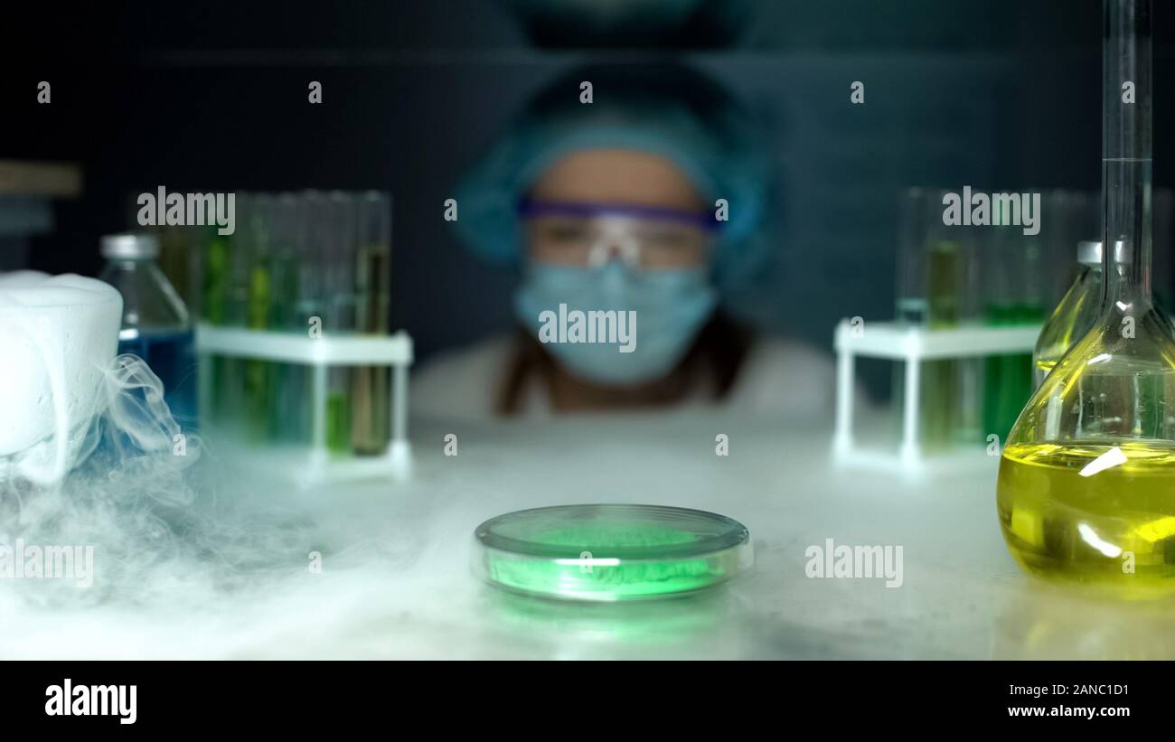 Petri dish with green powder sample in fridge, laboratory experiment ...