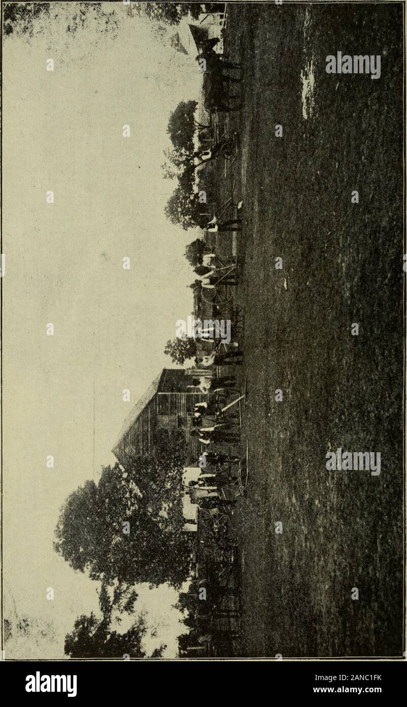 [Catalogue] . mmar, from Conjugations to Syntax.History, U. S ...