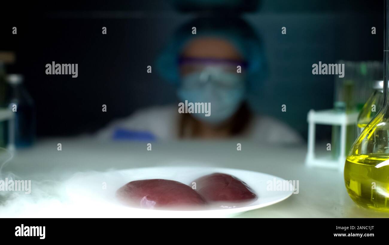 Kidneys in laboratory fridge, body cryopreservation, compensatory ...