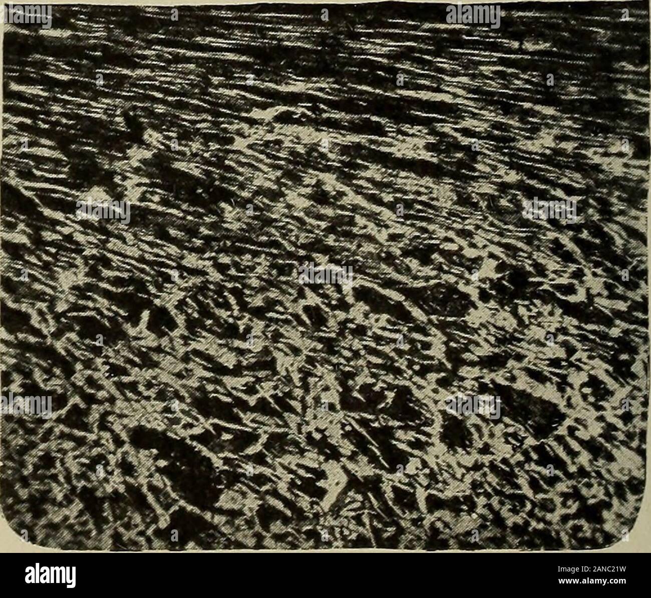 Rivets steel columns hi-res stock photography and images - Alamy