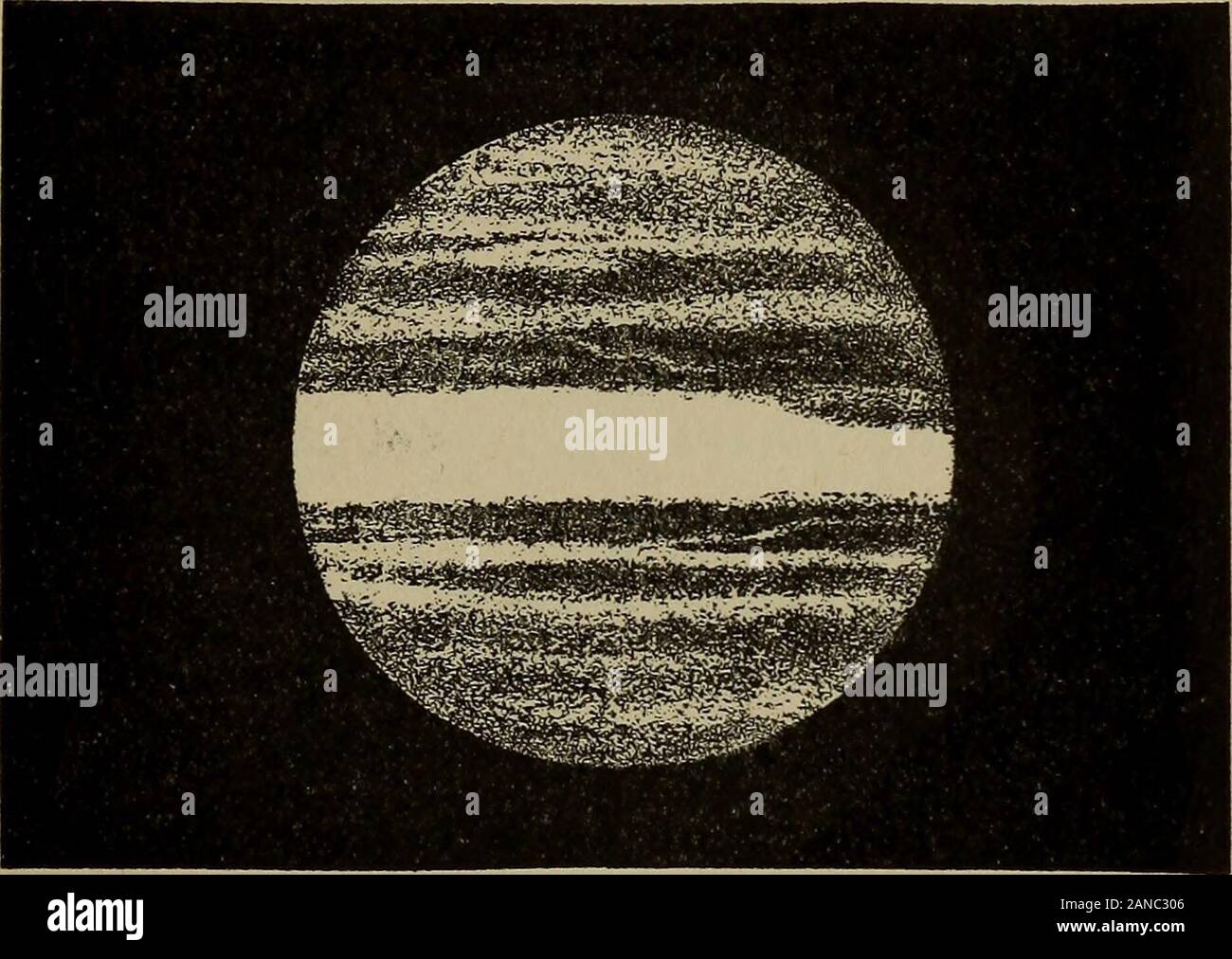 The three circuits: a study of the primary forces . Jupiters Belts. Our ...