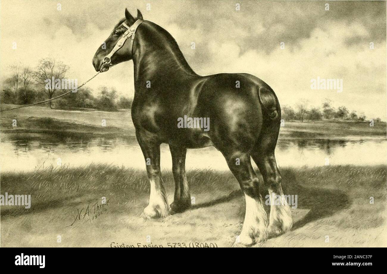 18040 High Resolution Stock Photography and Images - Alamy