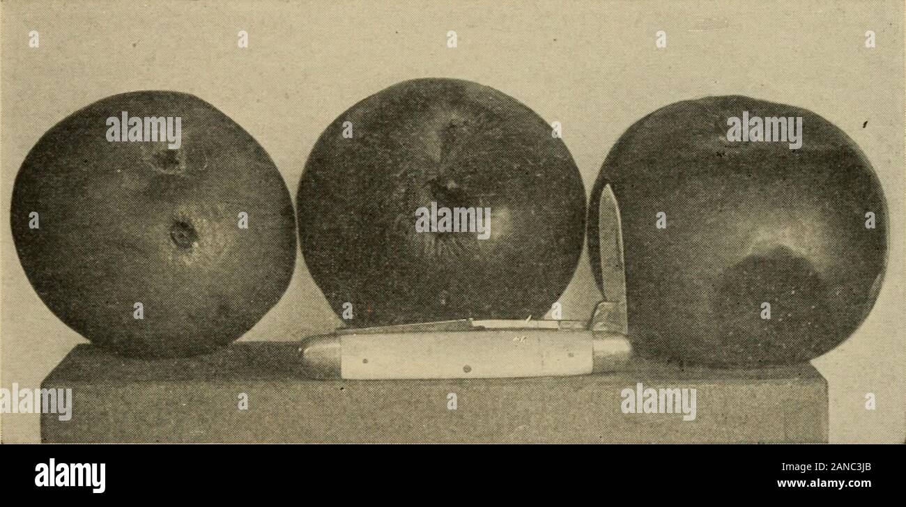 Packing barrels hi-res stock photography and images - Alamy