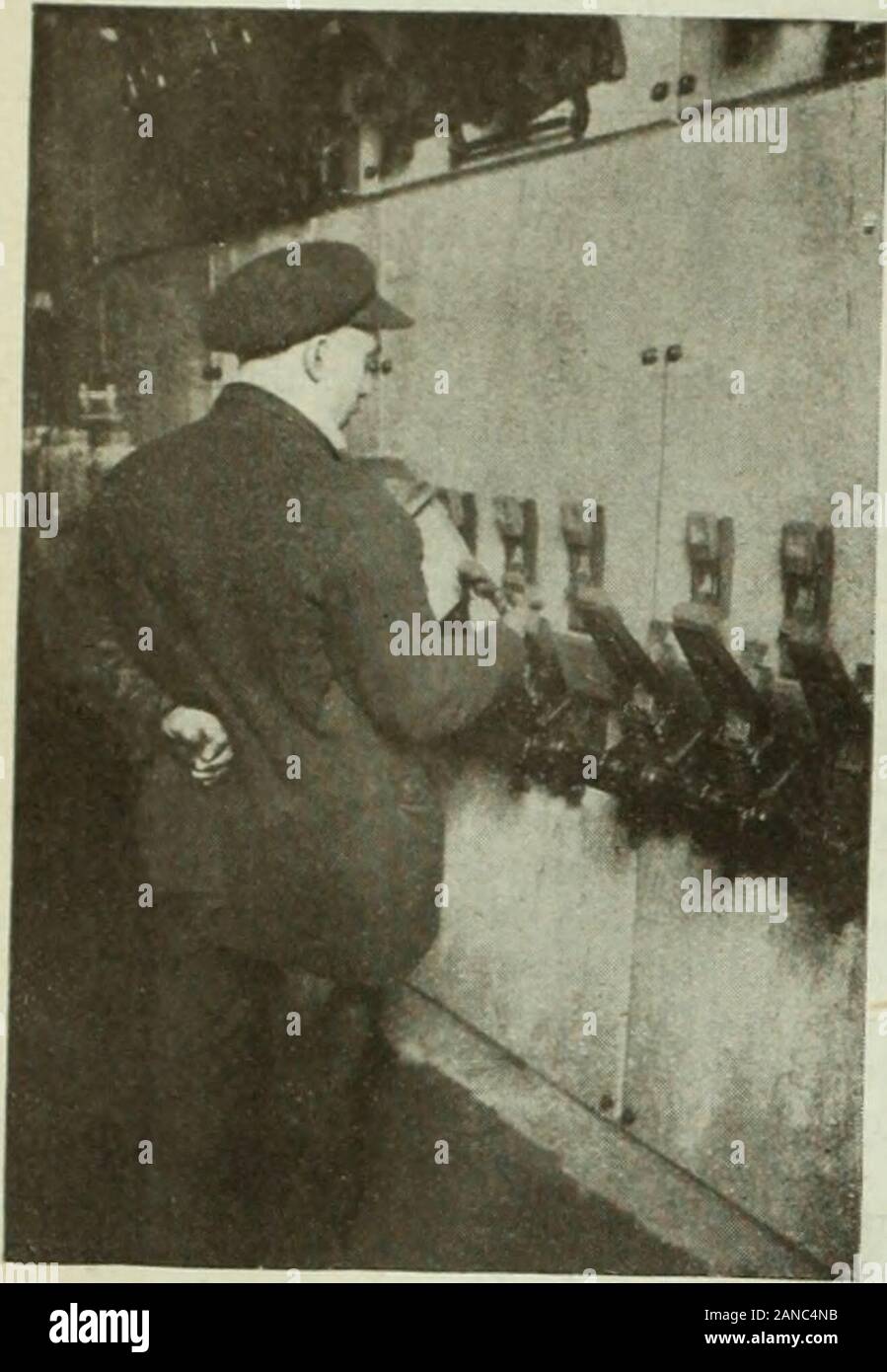 Pig handling board hi-res stock photography and images - Alamy