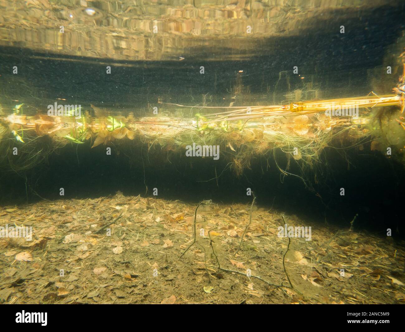 Steep lake bank hi-res stock photography and images - Alamy