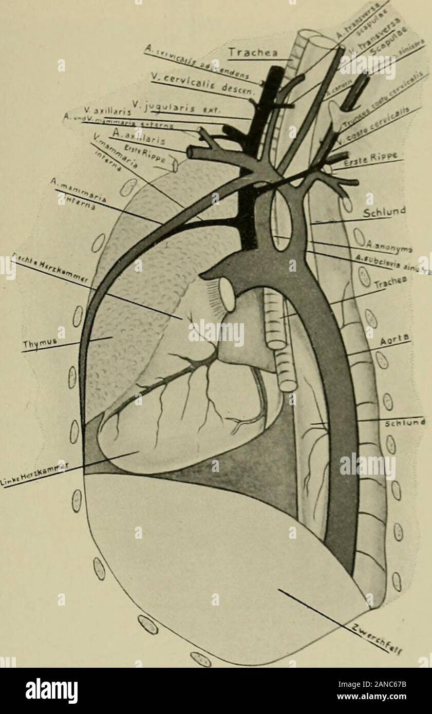 Strenge d hi-res stock photography and images - Alamy