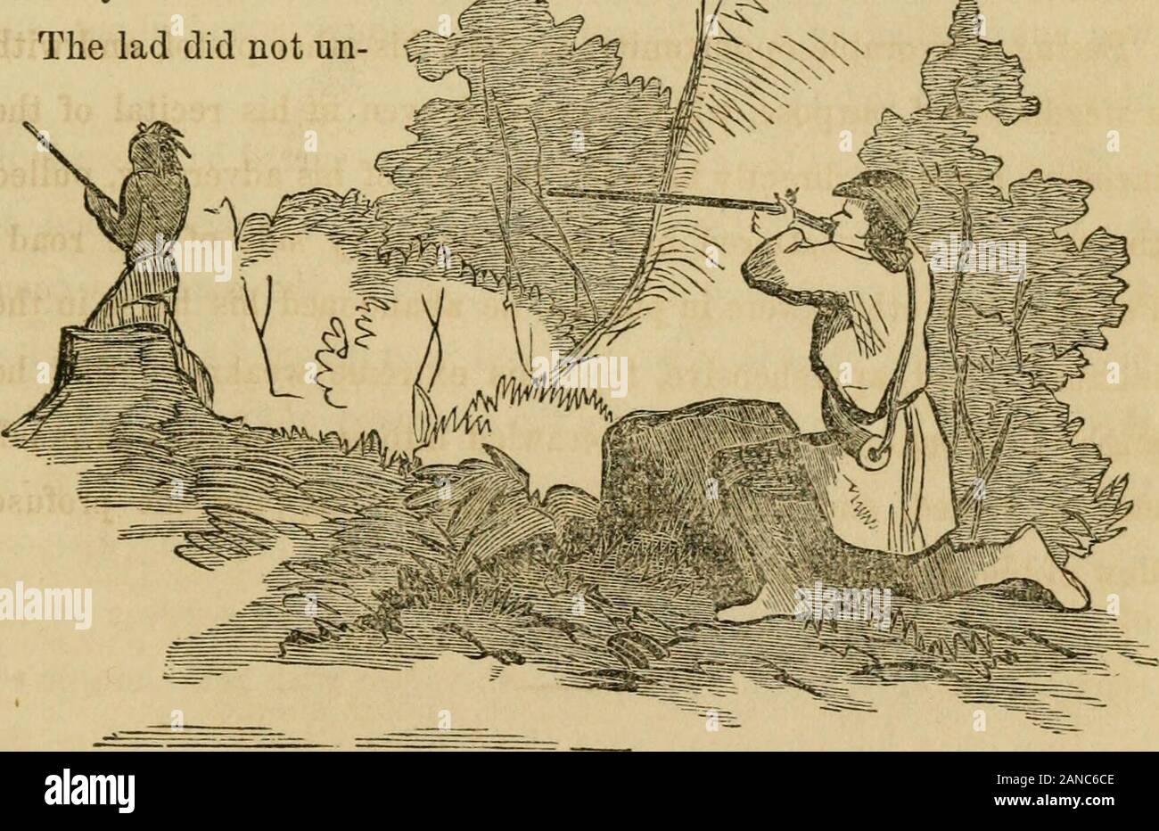 Stump gun hi-res stock photography and images - Alamy