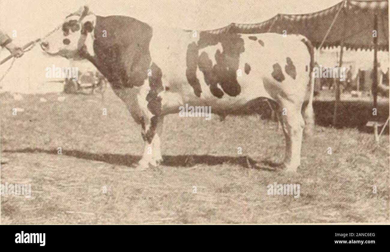 New York State fair and agricultural and industrial expositionSyracuse ...