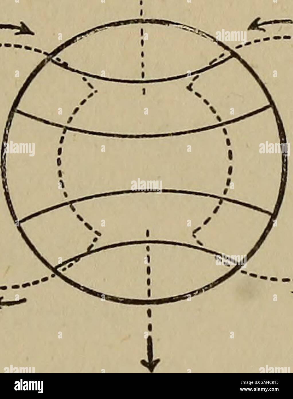 The three circuits: a study of the primary forces . a singleline of ...
