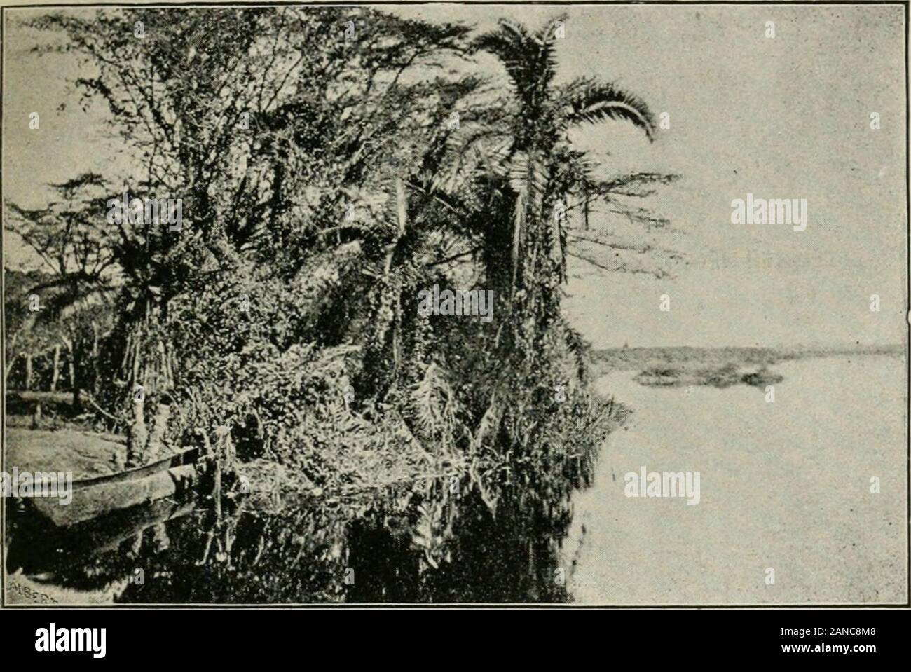 Prised open hi-res stock photography and images - Alamy