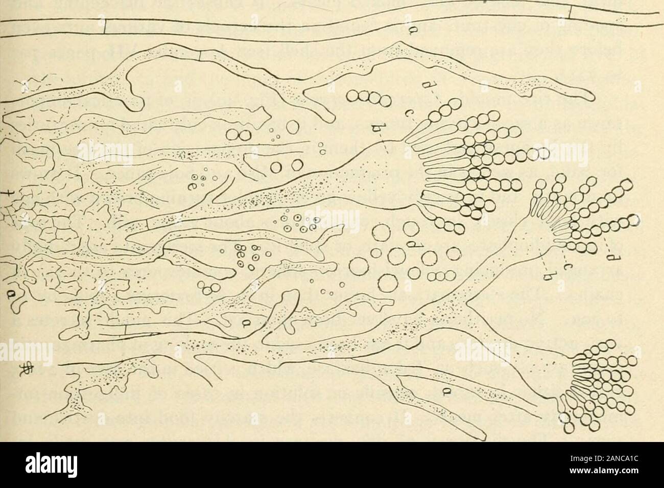 Jj pickle hi-res stock photography and images - Alamy