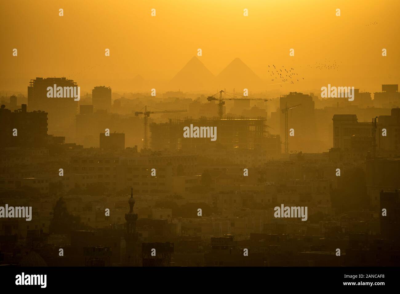 cairo cityscape at sunset Stock Photo - Alamy