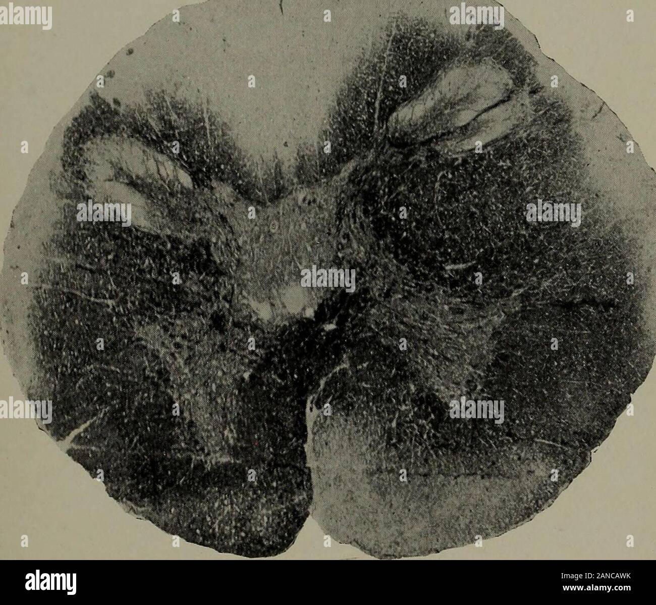 Clarks junction hi-res stock photography and images - Alamy