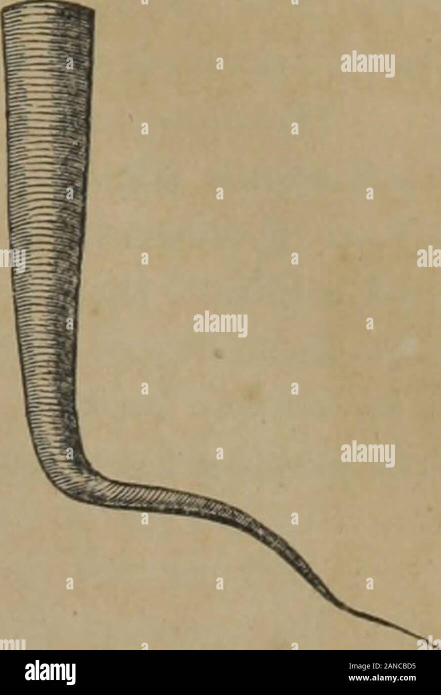 Coagulum hi-res stock photography and images - Alamy