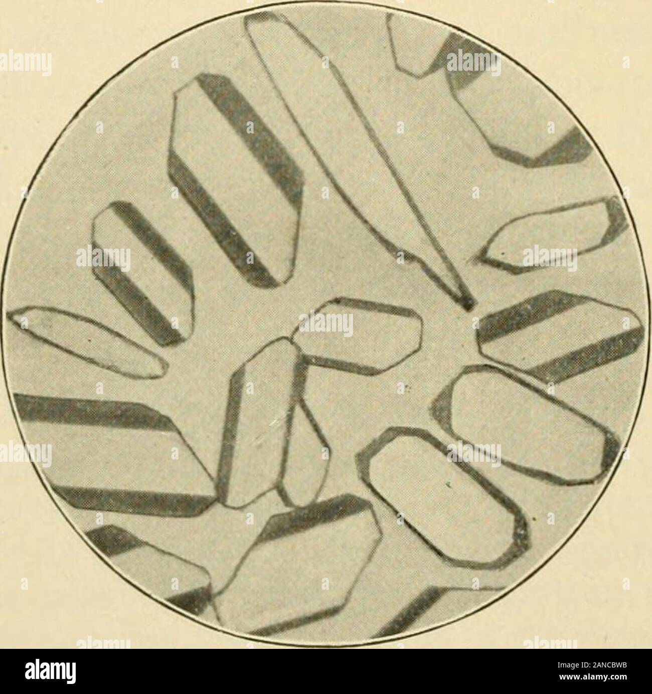 Silver nitrate test hi-res stock photography and images - Alamy