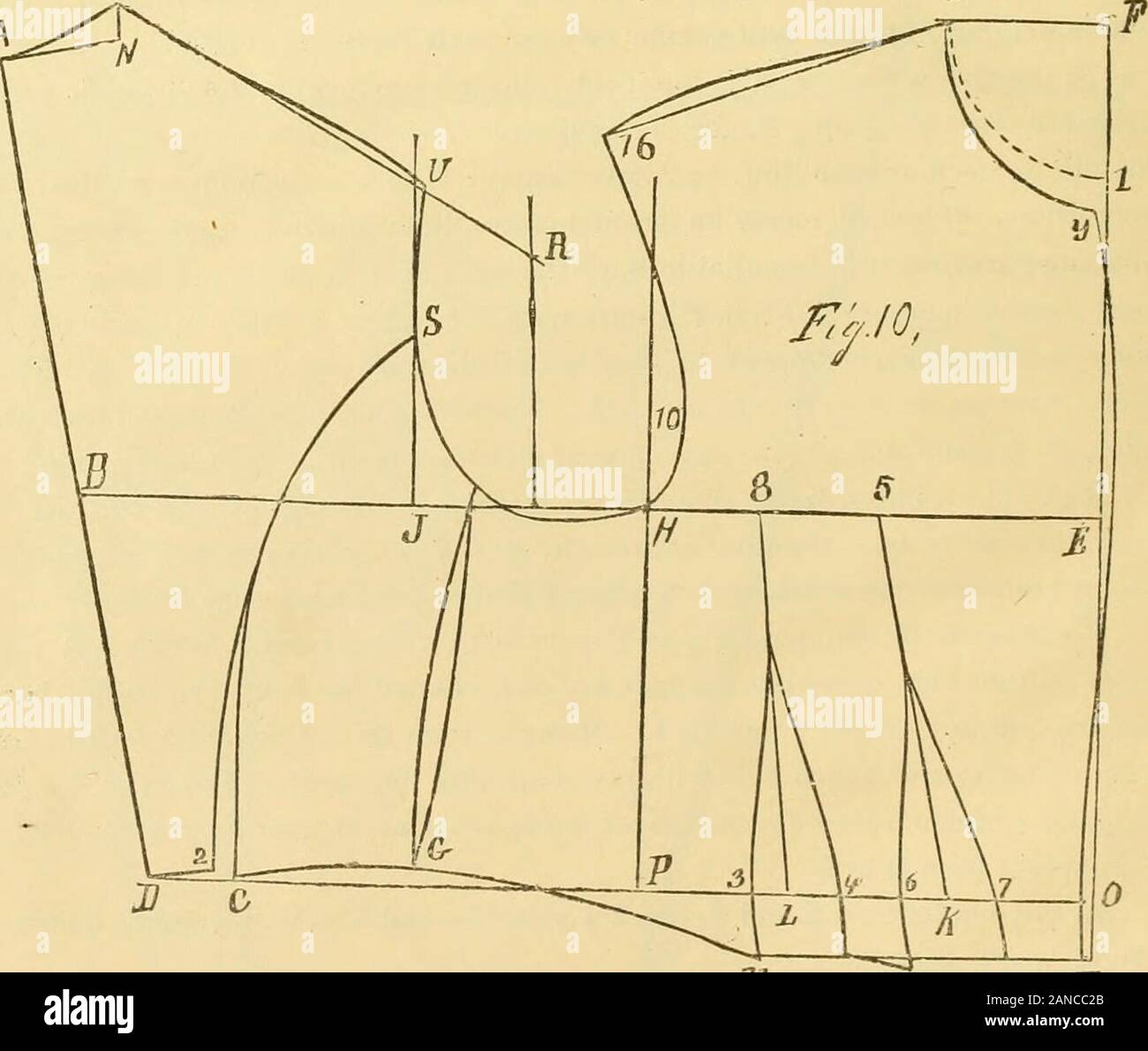 Of proportionate build hi-res stock photography and images - Alamy