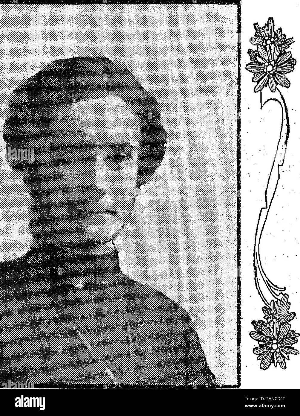 Bookidw hi-res stock photography and images - Alamy