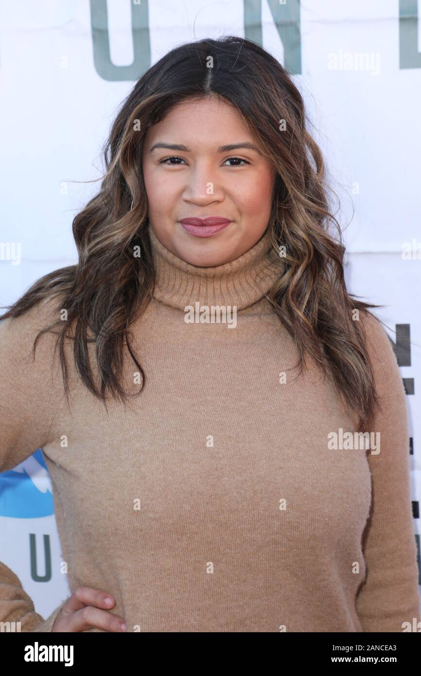 6th Annual Simin Hope Foundation Winter Festival in North Hollywood ...