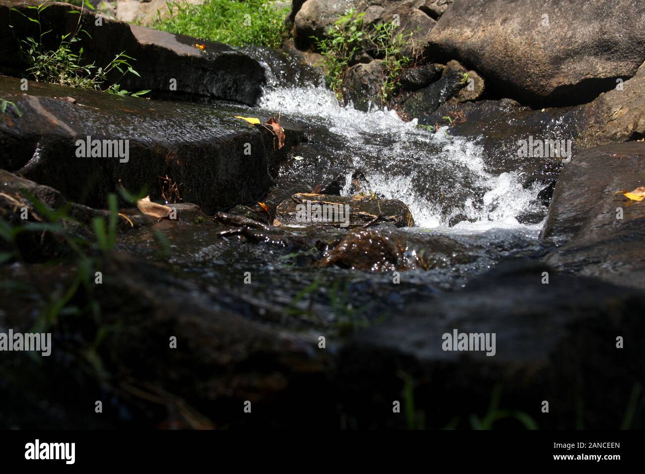 Fresh clear stream water flowing down over rocks Stock Photo - Alamy