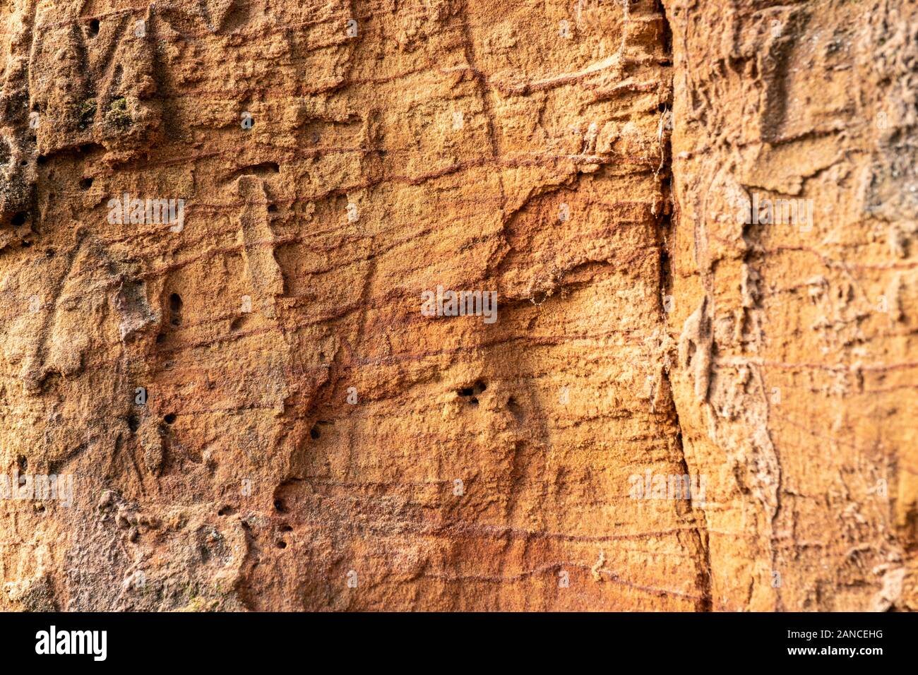 Texture of layers of brown sand cross section. Cliff on the beach Stock ...