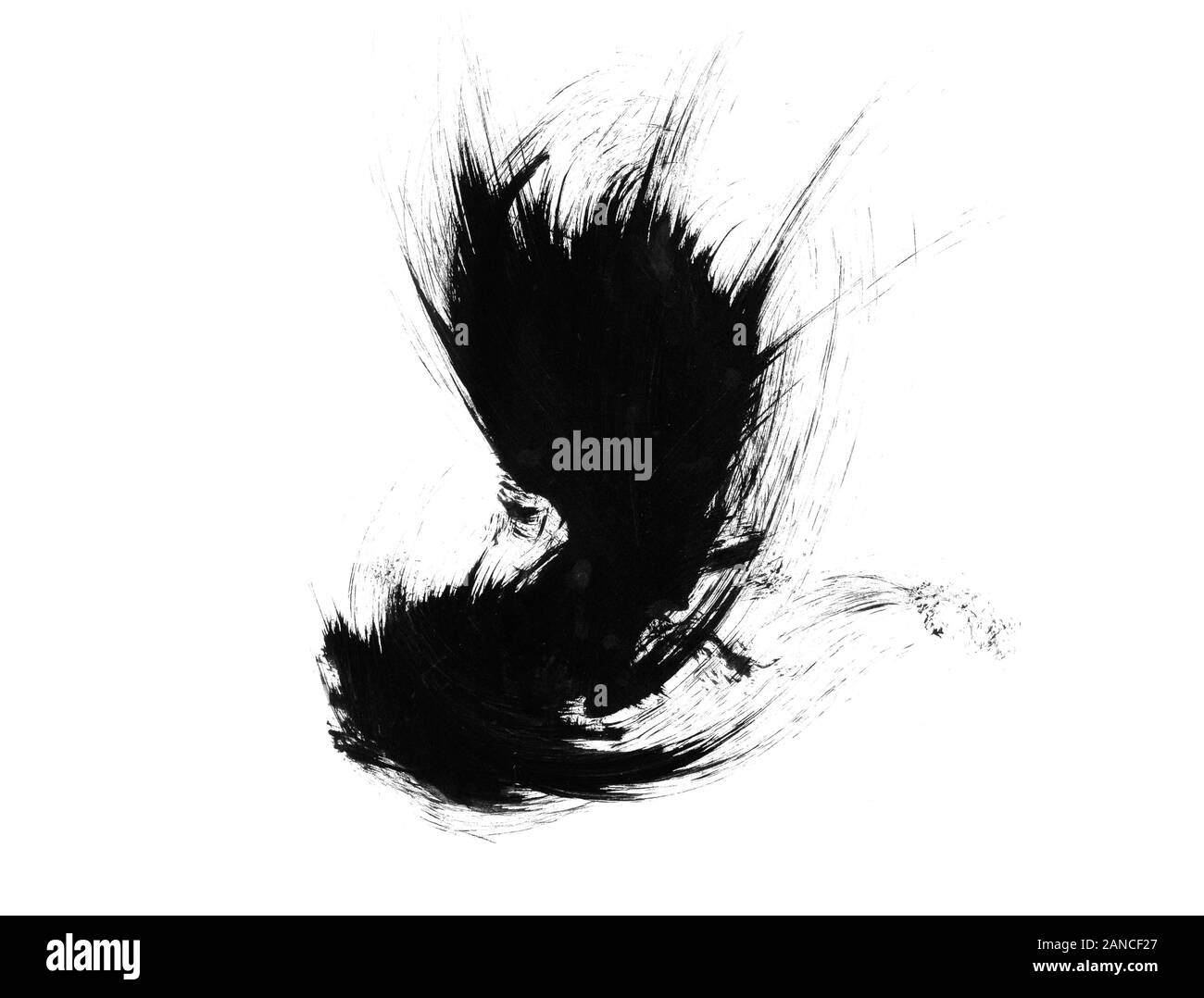 Black ink brush. Abstract black ink illustration Stock Photo - Alamy