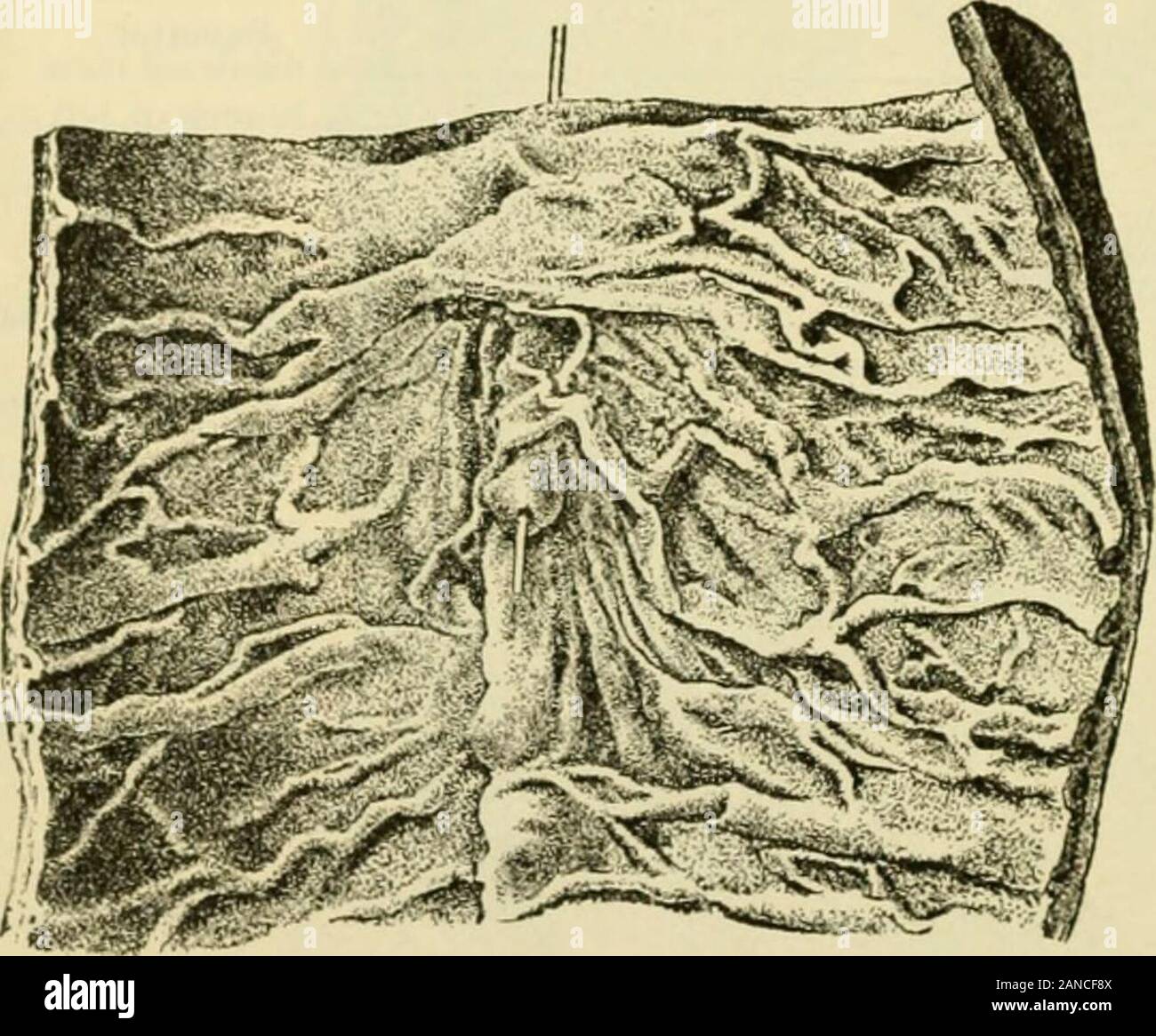 Foss Structures Of Life Manual