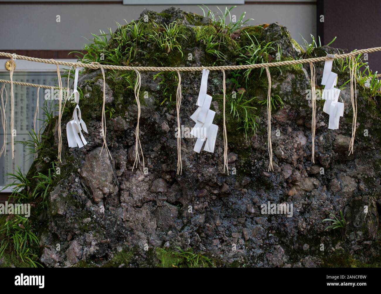 Mossy stone with shimenawa (rice straw rope) and paper decorations ...
