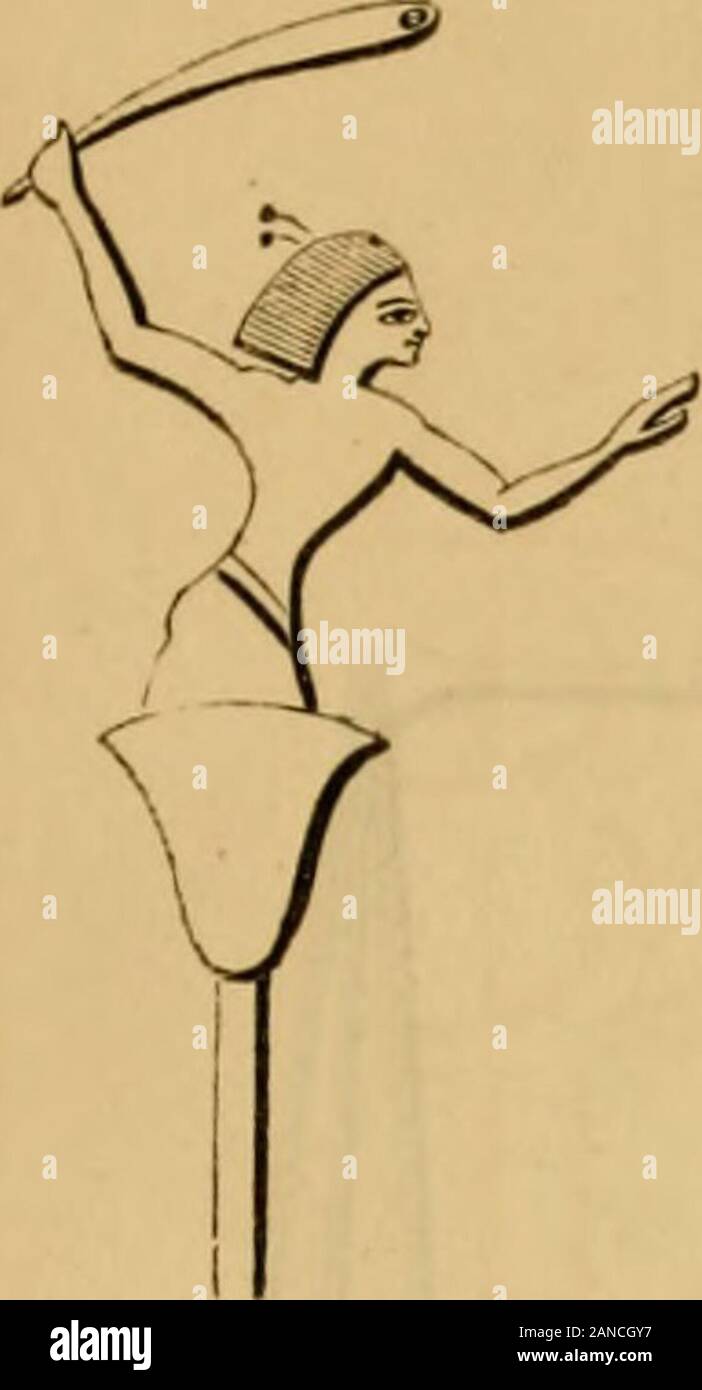 The Book of Job : translated from the Hebrew on the basis of the ...