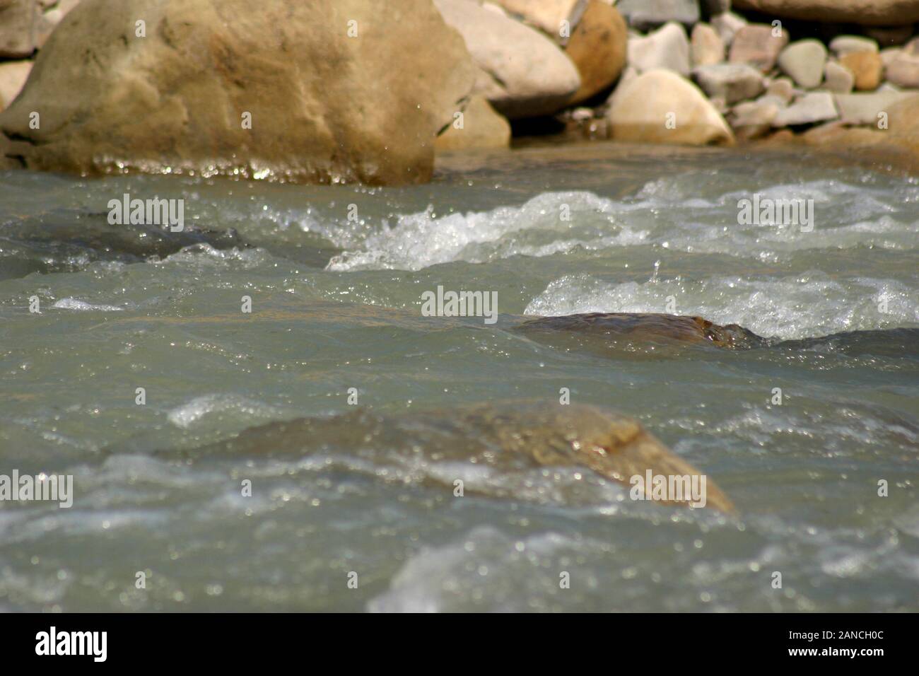 Close-up of river's water flowing over rocks in Romania Stock Photo - Alamy