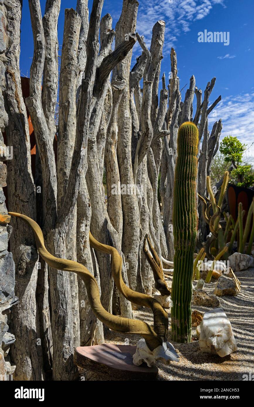 boma,fencing,fence,cactus,cacti,succulent,succulents,display,displays ...