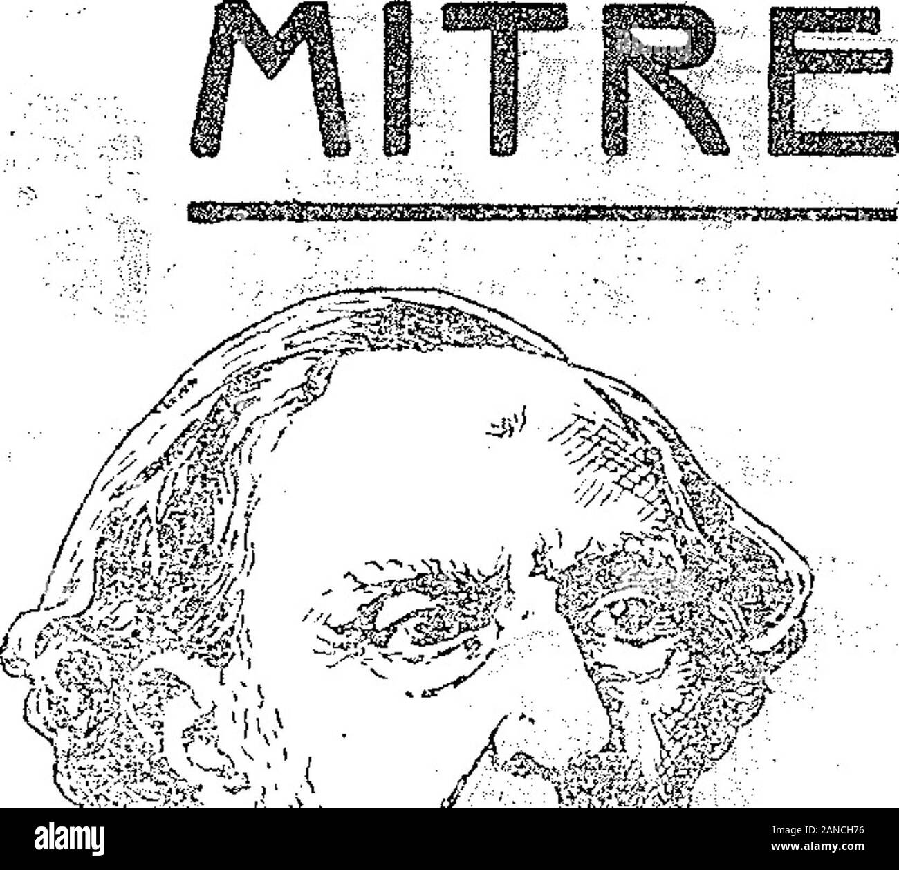 Animales en w hi-res stock photography and images - Alamy