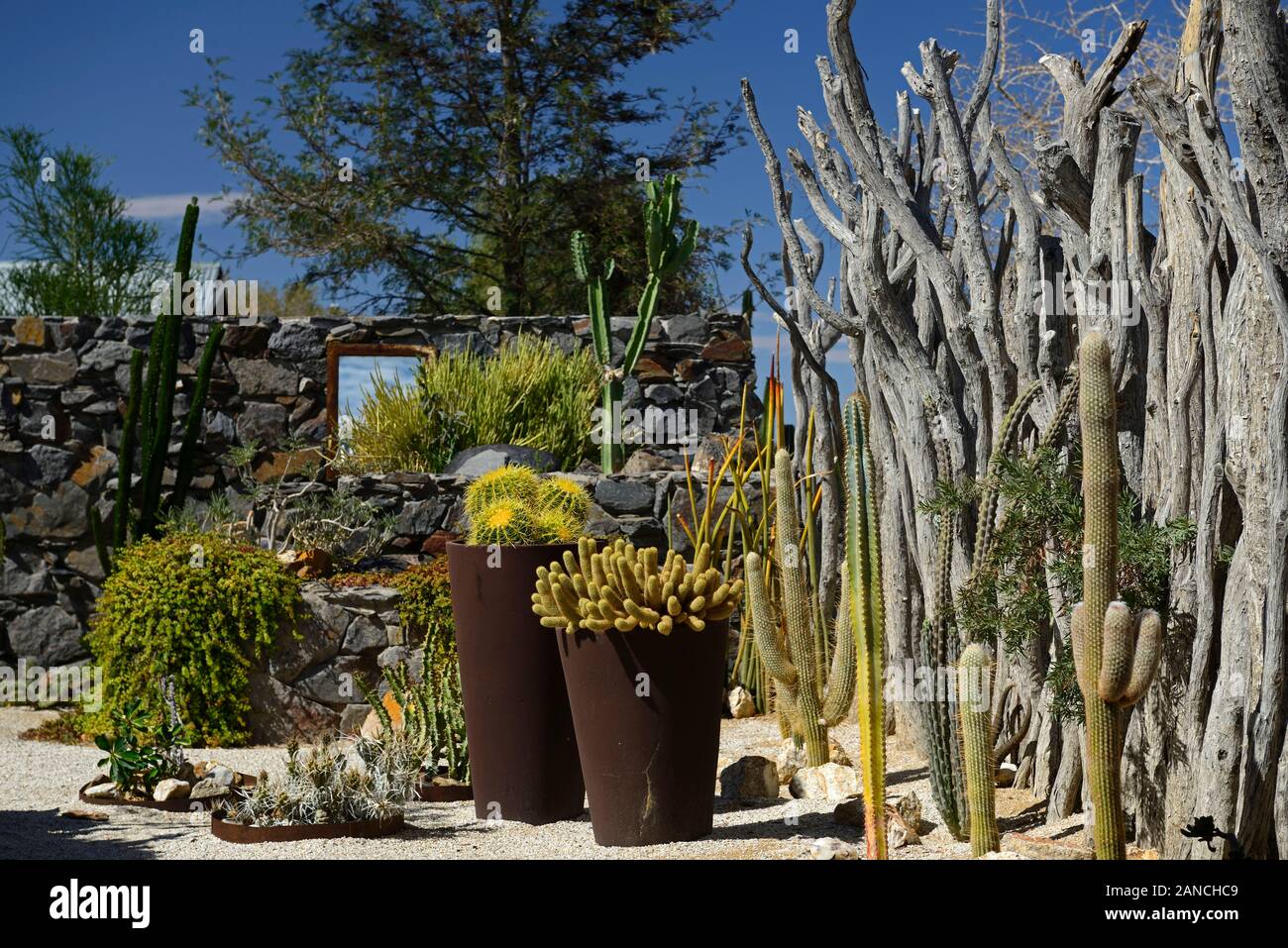 boma,fencing,fence,cactus,cacti,succulent,succulents,display,displays ...