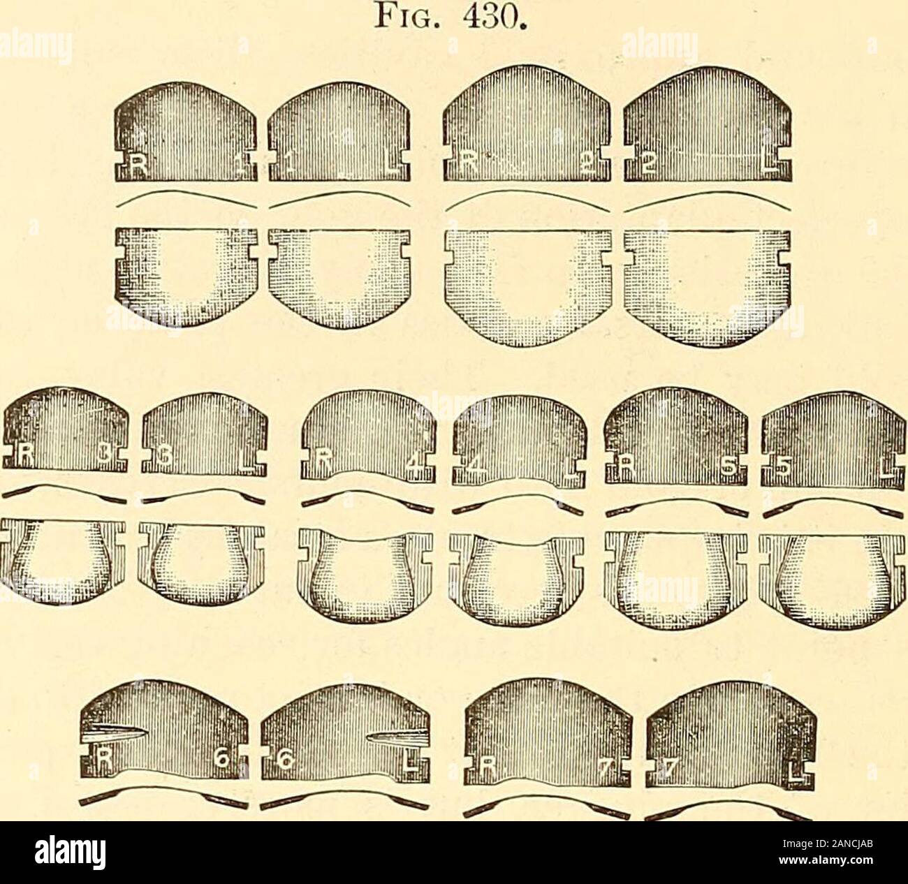 Thematrix hi-res stock photography and images - Alamy