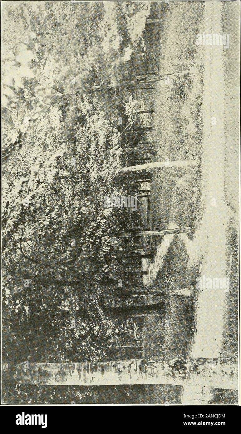 Rebecca bunn hi-res stock photography and images - Alamy