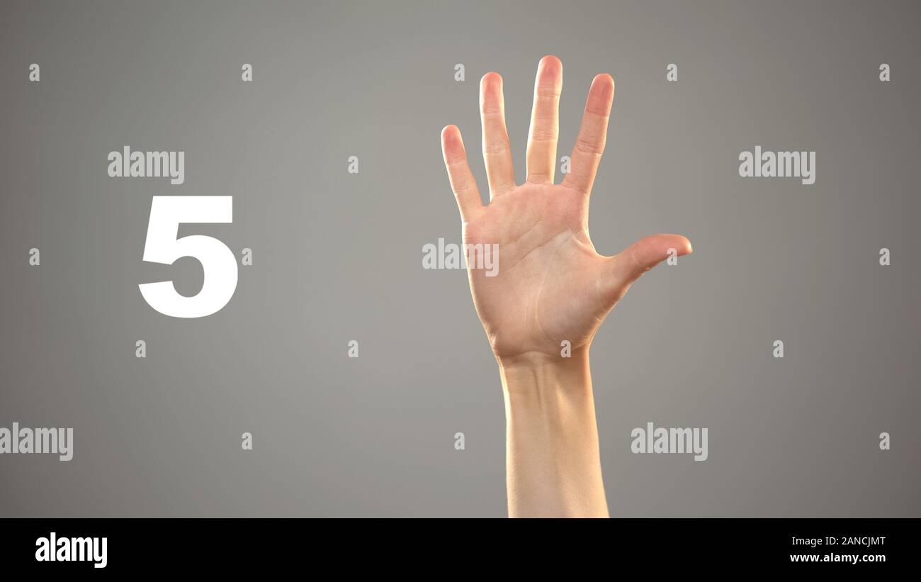 Hand signing 5 in asl, number on background, sign language tutorial for ...