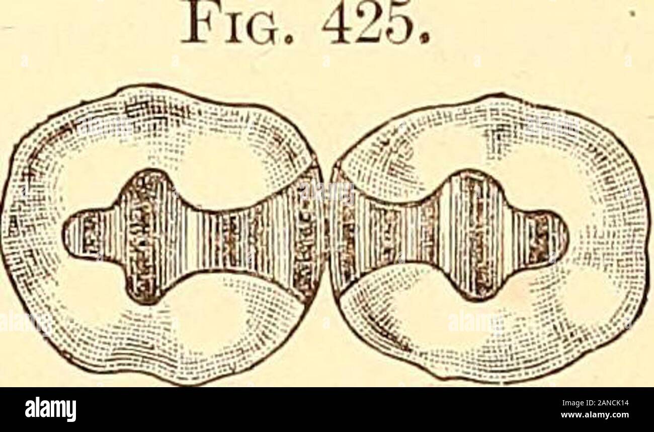 Disto hi-res stock photography and images - Alamy