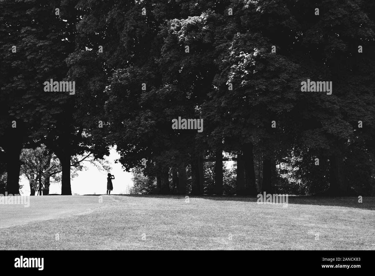 Green adn white Black and White Stock Photos & Images - Alamy