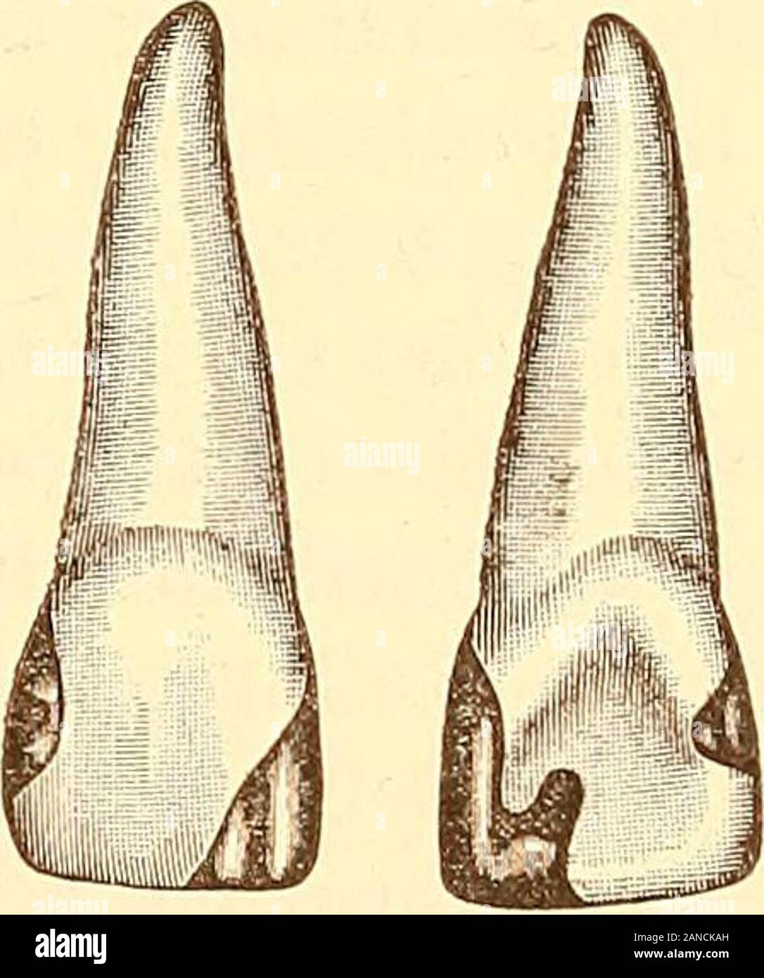 Contour spaces hi-res stock photography and images - Alamy