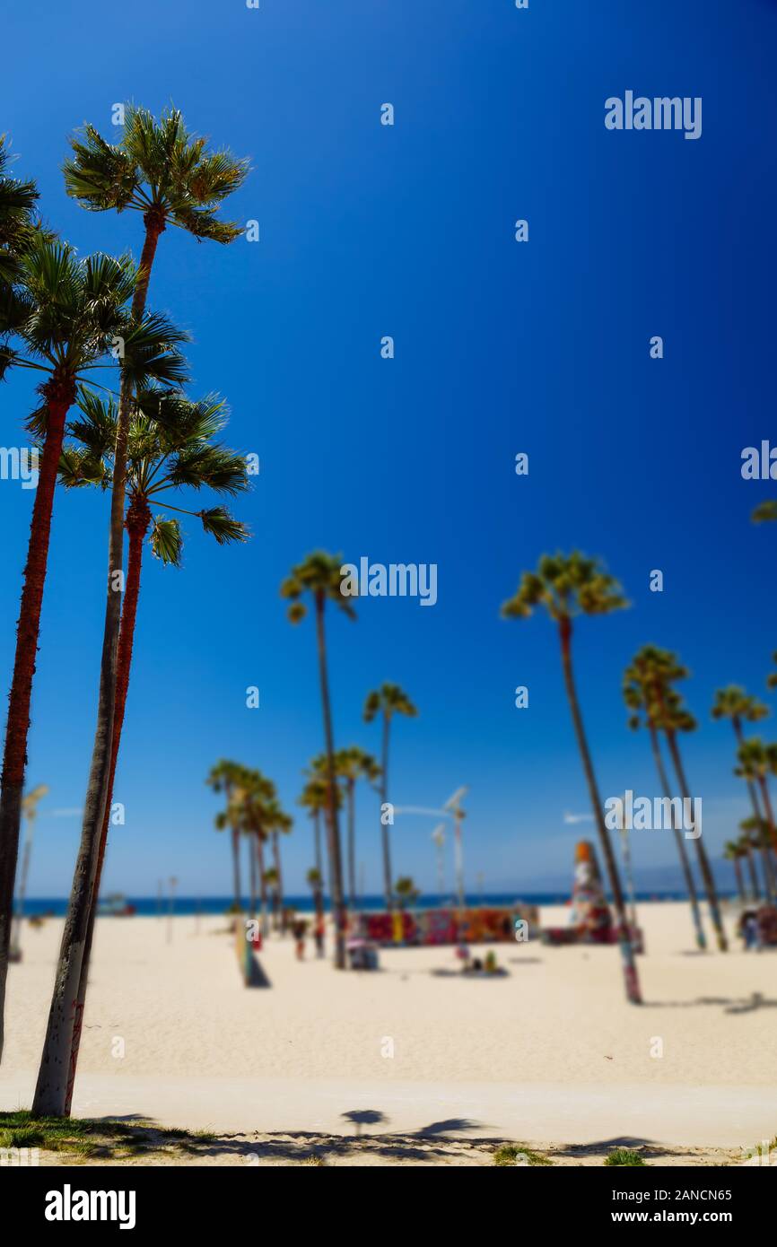 Tripical beach with palm trees. Holiday and vacation concept ...