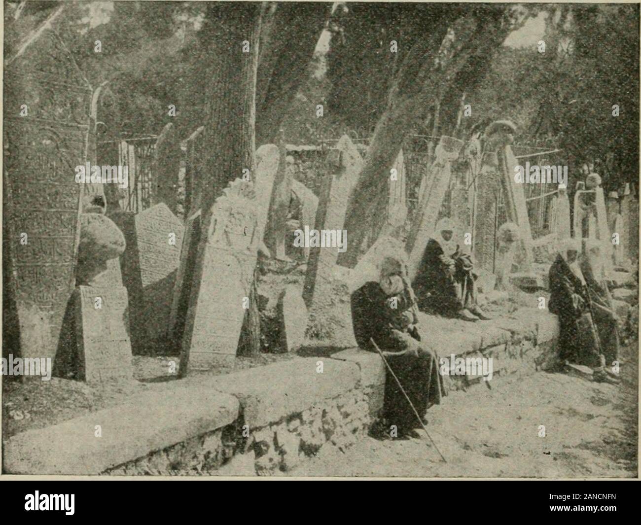 Tewfik pasha hi-res stock photography and images - Alamy