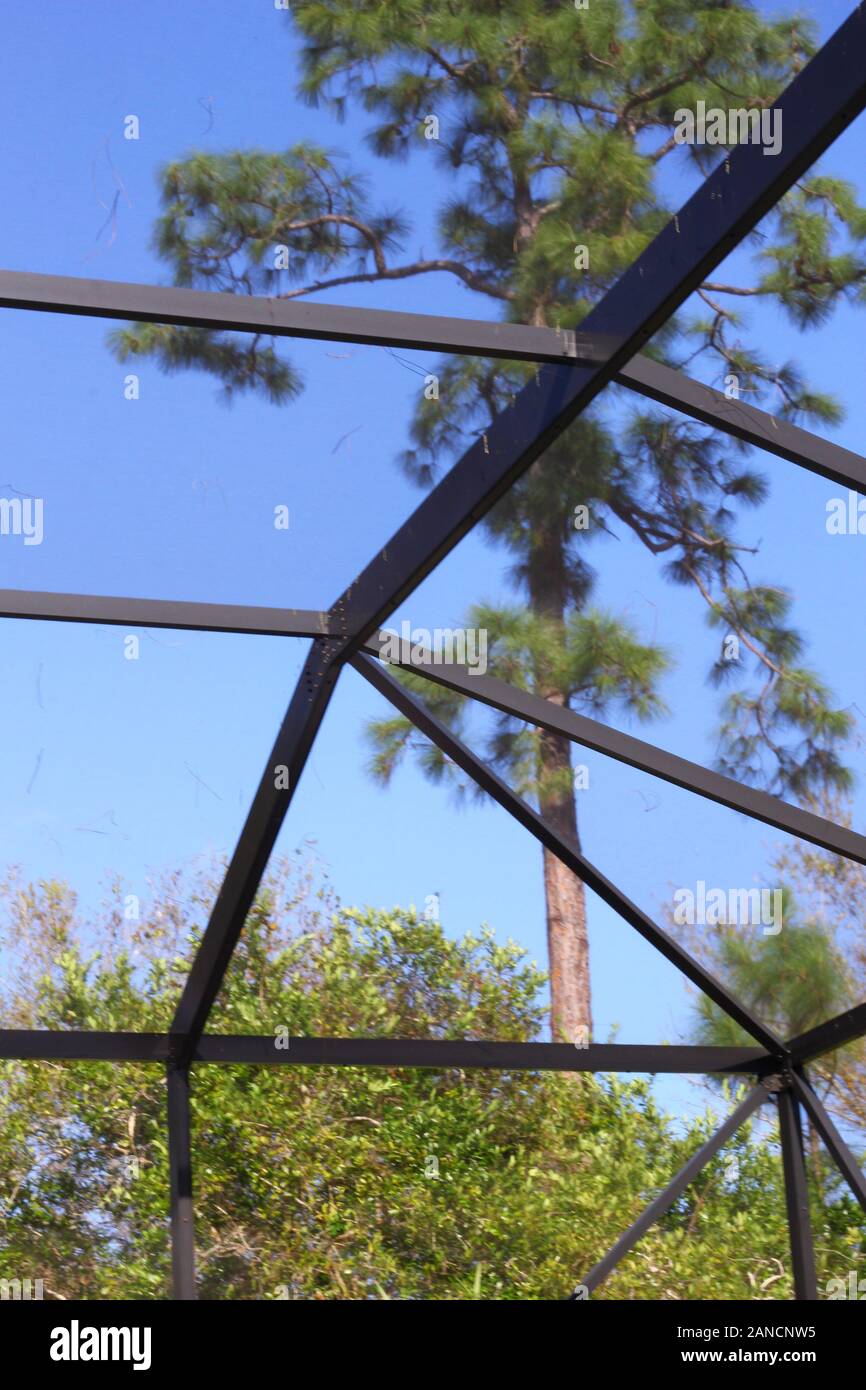 Tree Needle and Leaves Protection Canopy Stock Photo - Alamy