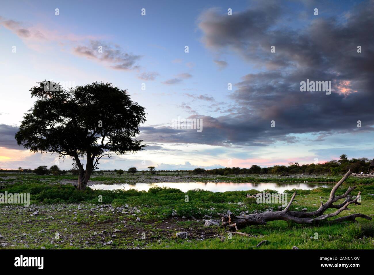 sunset at waterhole, water hole, watering hole,summer,west side of ...
