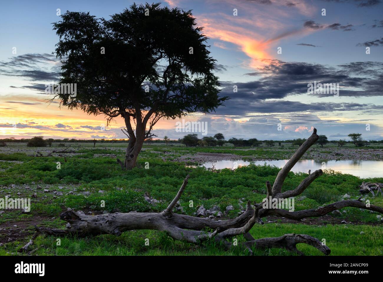sunset at waterhole, water hole, watering hole,summer,west side of ...